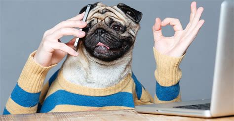 Sandro Monteiro On Linkedin Cisco Meraki Modul Home Office Arp Ch