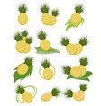 Pineapples Royalty Free Vector Image VectorStock