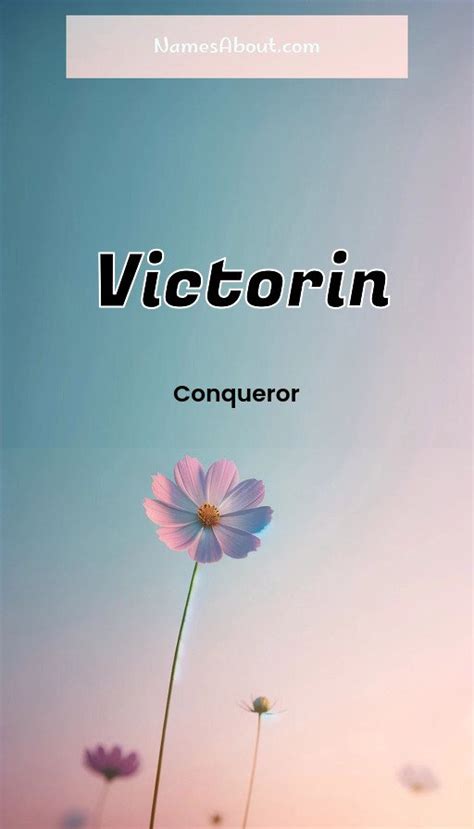Victorin Name Meaning And Origins Nicknames Sibling Ideas