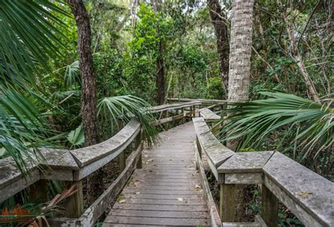 Best Times To Visit Everglades National Park In 2025