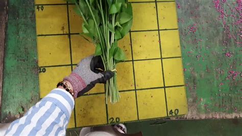 인터넷꽃도매시장 콜롬비아유스커스 유스카스 1등급 전국꽃집 꽃도매 꽃쇼핑몰 생화도매 생화쇼핑몰 꽃다발 꽃바구니 Youtube