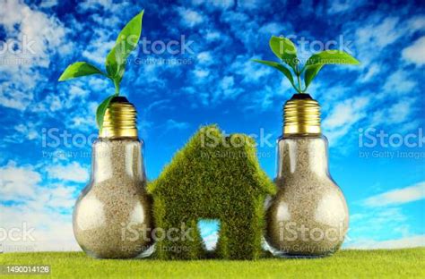 전구 안에서 자라는 식물들과 잔디밭과 푸른 하늘을 배경으로 한 초록색 에코 하우스 아이콘 재생 가능 에너지 개념입니다 전기 가격 가정의 에너지 절약 0명에 대한 스톡 사진