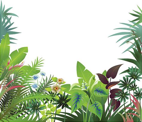 Bunga Tropis Ilustrasi Foto Stok Potret And Gambar Bebas Royalti Istock