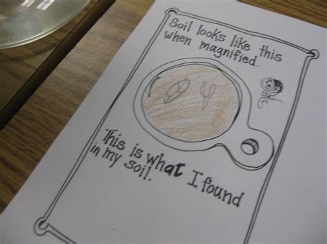 Live And Learn Science Investigation A Soil Study