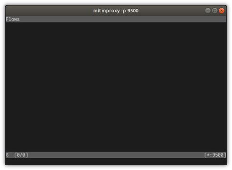 Inspecting Internet Traffic With Mitmproxy