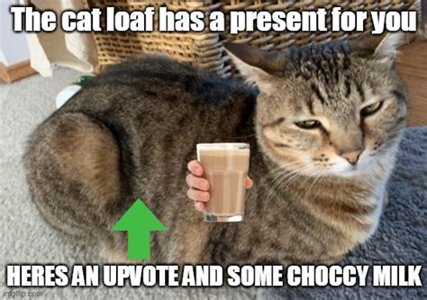 Cat Loaf Imgflip