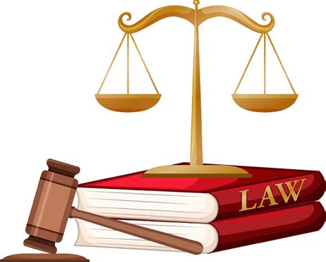 Cuáles Son Los 7 Principios Del Derecho Guía Legal