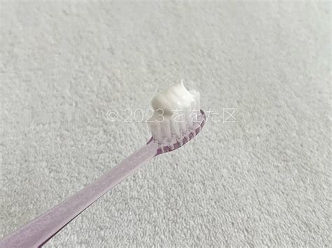 Nonioハミガキの口コミならぬ区長コミ ををた区