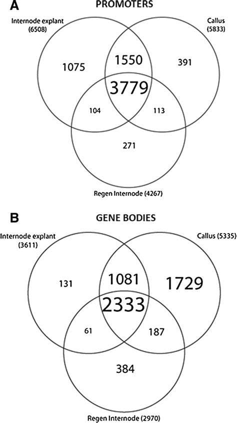Differentiation Of Promoter And Gene Body Methylation Among Tissues