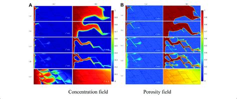 Dissolution Patterns Of Different Damkohler Numbers A Face Download Scientific Diagram