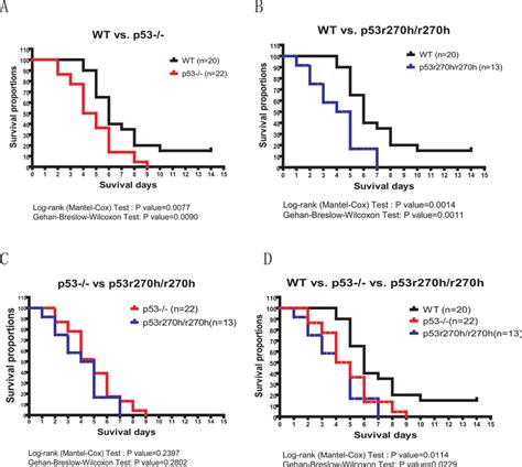 The Mouse Toxicity Assay For P53 Deficient And Wildtype Mice Followed Download Scientific