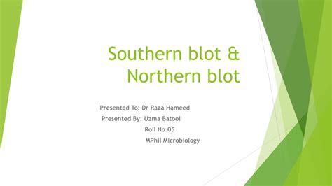 Southern Blot Western Blot Blotting Technique Blotppt Pptx