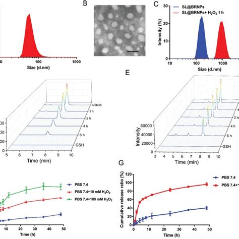 In Vitro Cytotoxicity Experiments Of Different Preparations A Mtt