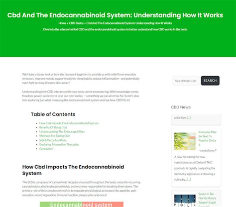 Provide Semantic Seo Nlp Optimised Articles And Blogs By Sambo19 Fiverr