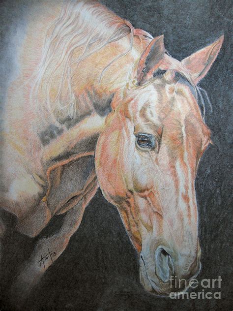 Dreamer Drawing By Audrey Van Tassell Fine Art America