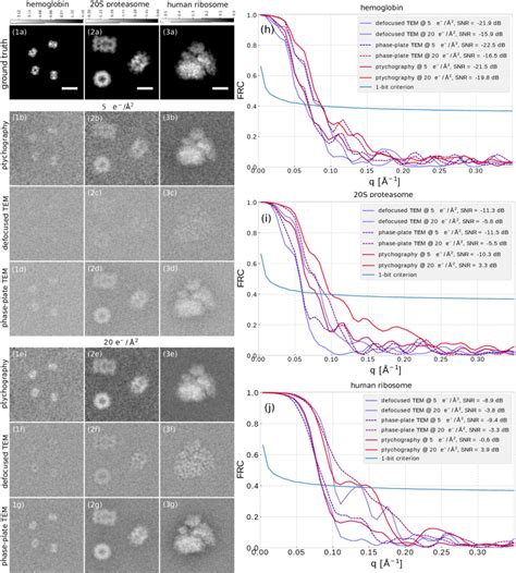 Cryo Electron Ptychography Reconstructions From Simulated Data And