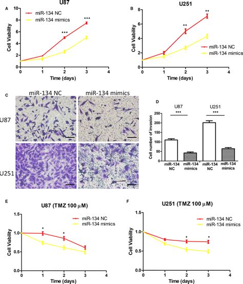 Mir‐134 Suppressed Glioma Cell Proliferation And Invasion And Enhanced
