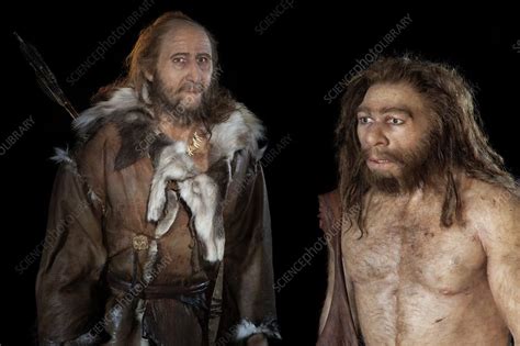 Neanderthal Vs Cro Magnon
