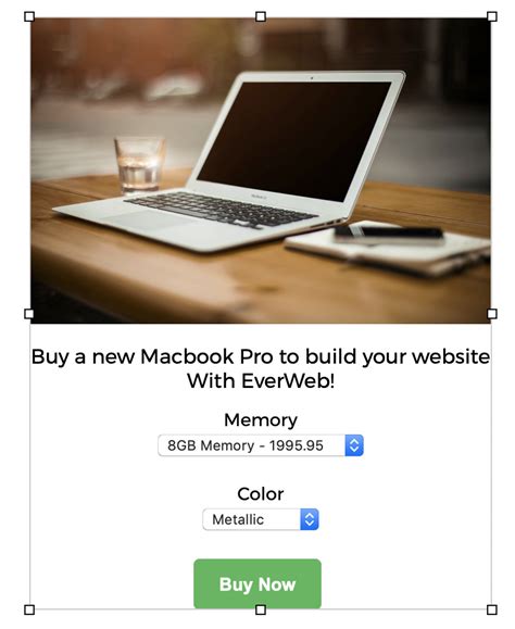 e commerce and online store options with everweb