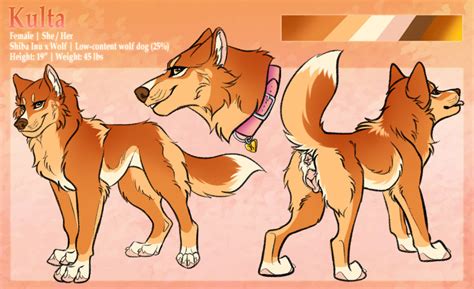 Rule 34 Animal Genitalia Animal Pussy Anus Black Nose Blep Canid