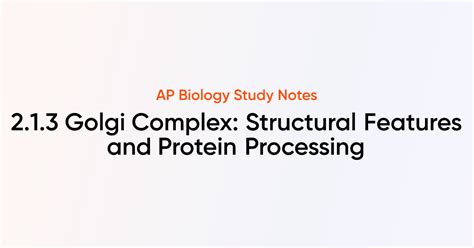 Golgi Complex Structural Features And Protein Processing 2 1 3 Ap Biology Notes Tutorchase