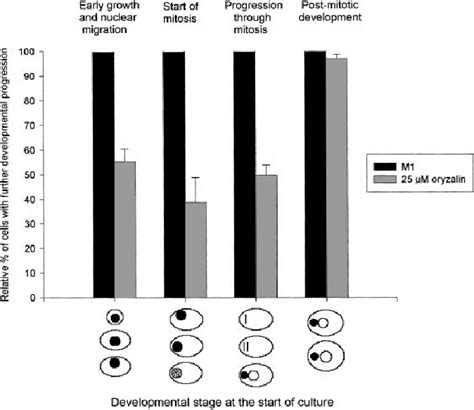 E Ff Ects On Development Caused By The Microtubule Cytoskeletal