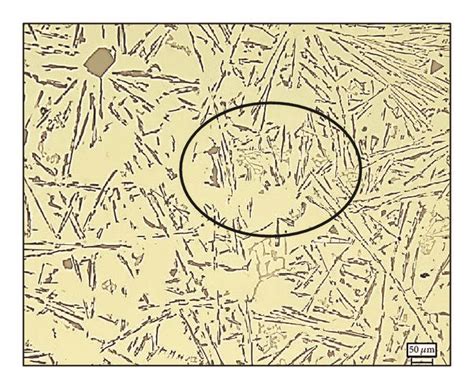 Optical Micrographs Of The Eutectic Si Particles In A Te Alloy B