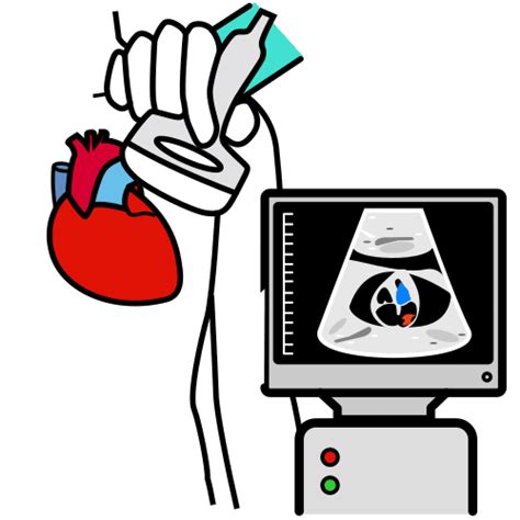 Echocardiogram In Arasaac · Global Symbols