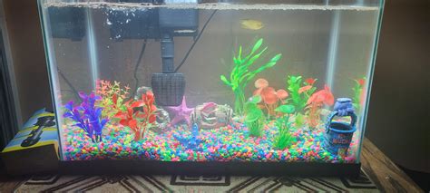 46 Hilarious Wee Bey Brice Puns Punstoppable 🛑