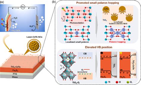 Scheme 1 A Schematic Illustration Of The Tio 2 Cdte Layers At Fe 2