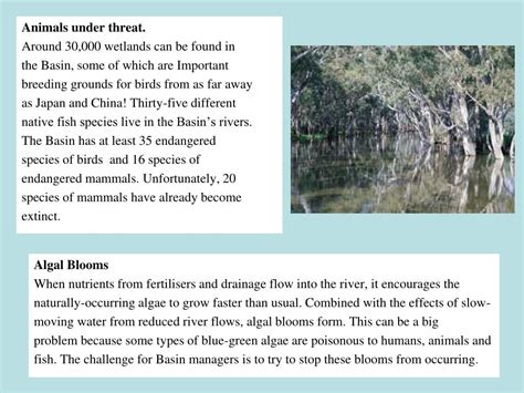PPT MURRAY DARLING BASIN INTRODUCTION TO ISSUES PowerPoint Presentation ID