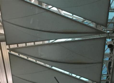 Supply Culture And Art Ceiling Of Membrane