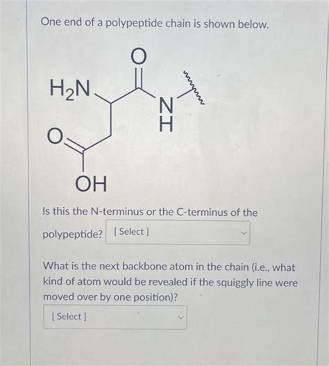 Solved One End Of A Polypeptide Chain Is Shown Below Is