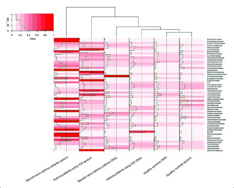 Heatmap Of Samples The Most Abundant Taxa With Their Relative