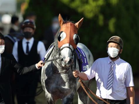 【馬券の狙い目】リュウノユキナひと叩きで出来がグンと上向き馬三郎のつぶやき 競馬ニュース Netkeiba