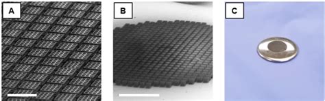Commercial Foam Electrode Comparison Role Of Cathode Architecture In