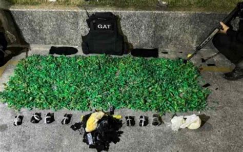 Mais De 4 Mil Sacolés De Cocaína Apreendidos Em Casa Abandonada Em