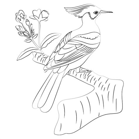 Premium Vector Bird Black And White Vector