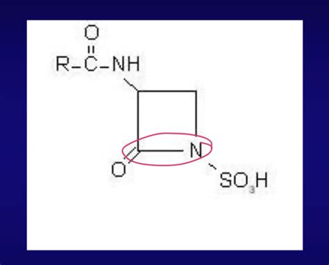 Antibiotics Ii Monobactams Macrolides Flashcards Quizlet