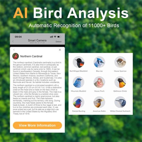Smart Bird Feeder With 1080P Camera Birds Wildlife KENTFAITH
