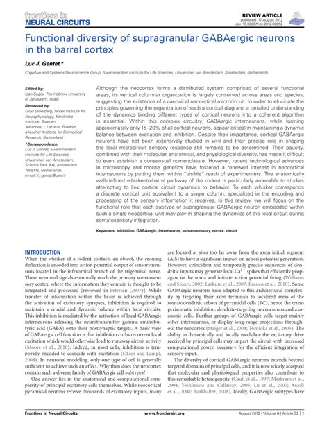 Pdf Functional Diversity Of Supragranular Gabaergic Neurons In The