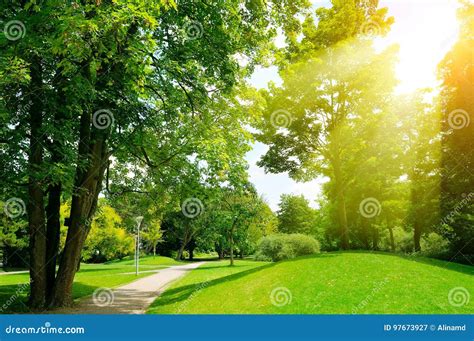 Bright Sunny Day In Park Sun Rays Illuminate Green Grass And Tr Stock