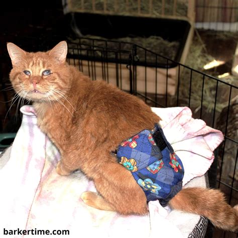 Flower And Heart On Blue Cat Diaper Made In Usa Artofit