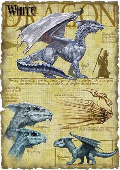 Icewind Dale Forgotten Realms Beyond The Wall Of Westeros Spacebattles Forums