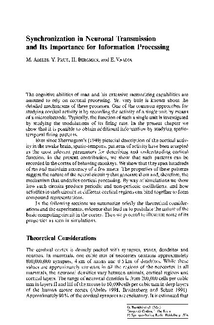 Pdf Synchronization In Neuronal Transmission And Its Importance For Information Processing