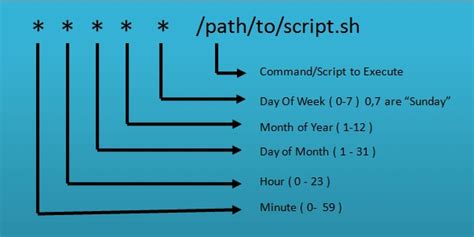 Mastering Crontab A Comprehensive Guide To Automating Tasks In Linux