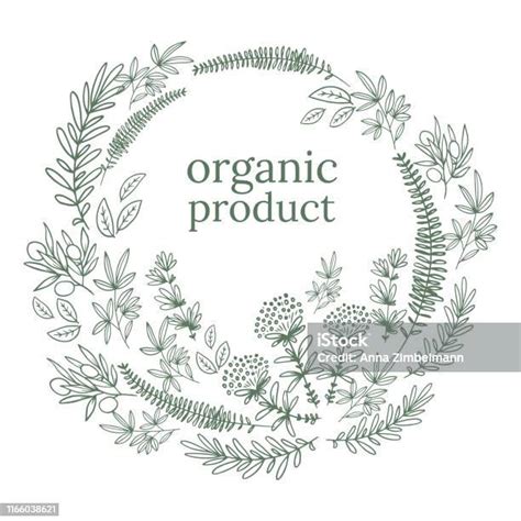 時尚線性風格的ector標誌設計範本 吃健康 素食或食品徽章或食品包裝標誌向量圖形及更多橄欖枝圖片 橄欖枝 冰沙 商標 Istock