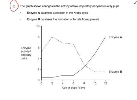 Monomers And Polymers Flashcards Quizlet