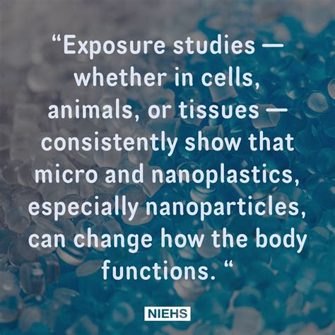 Niehs Director Talks Micro And Nanoplastics With Unm National Institute Of Environmental