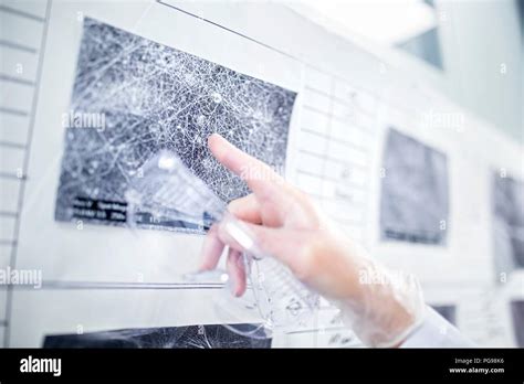 Scientist Looking At Scanning Electron Micrographs SEMs Of Different